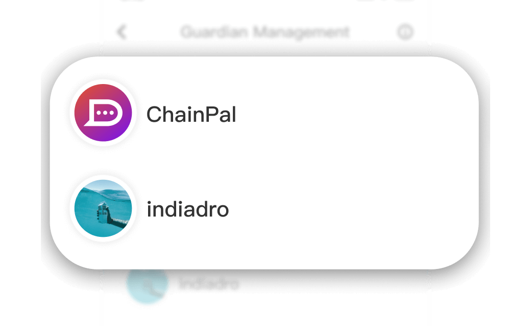 ChainPal - A privacy-first smart account infrastructure